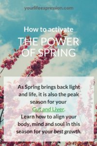 The Power Of Spring – The Wood Element - Dao道