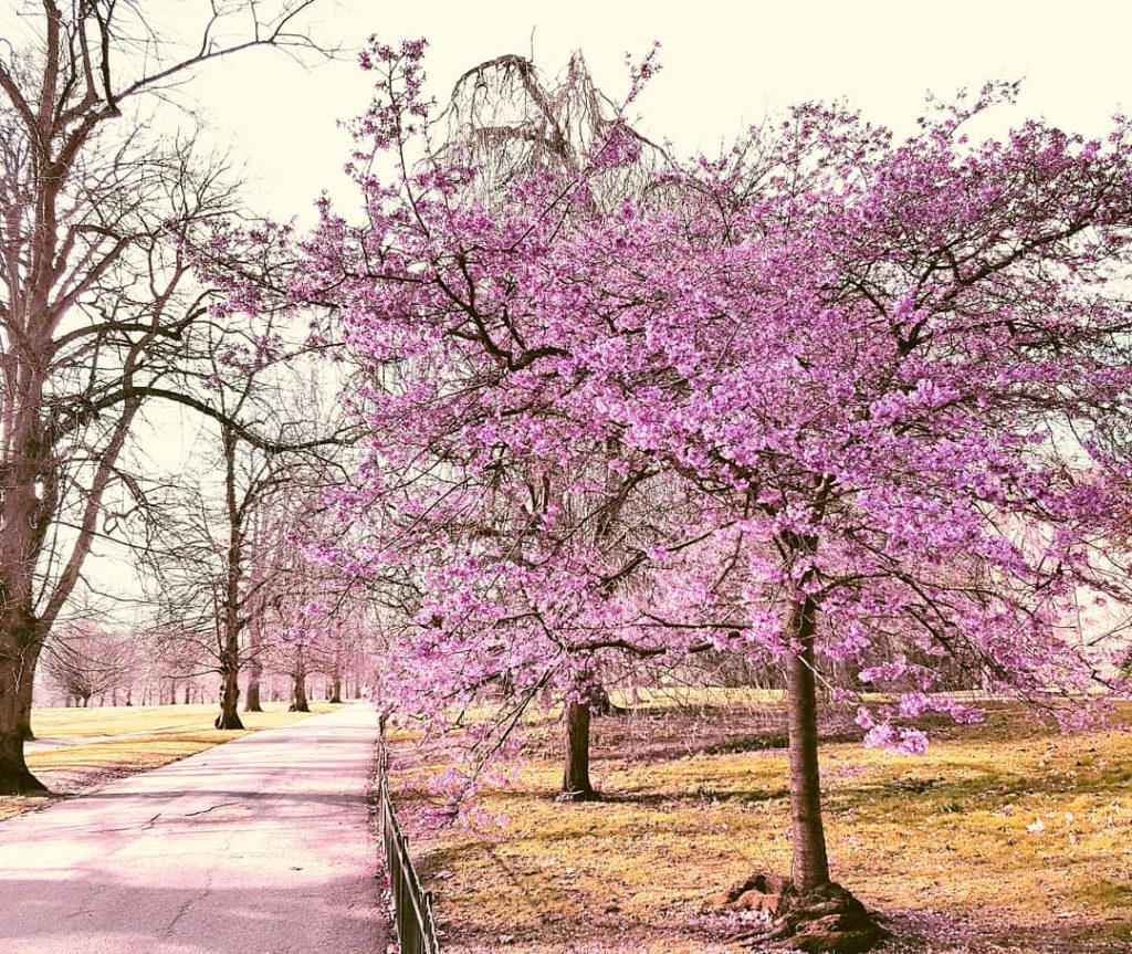 Awaken Your Inner Vision During Insects Awaken & Spring Equinox: Nature ...