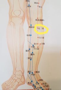 Awaken Your Inner Vision During Insects Awaken & Spring Equinox: Nature ...